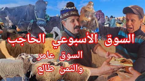 جولة في السوق الأسبوعي الحاجب السوق عامر والثمن كالعادة صاروخي YouTube