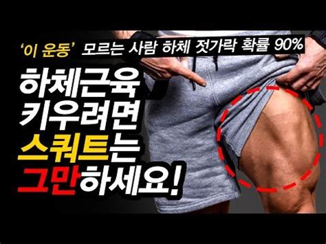 종아리 와 허벅지 를 동시에 키우는 하체 운동 루틴 YouTube 하체 운동 운동 루틴 운동