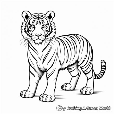 Siberian Tiger Coloring Pages Free Printable