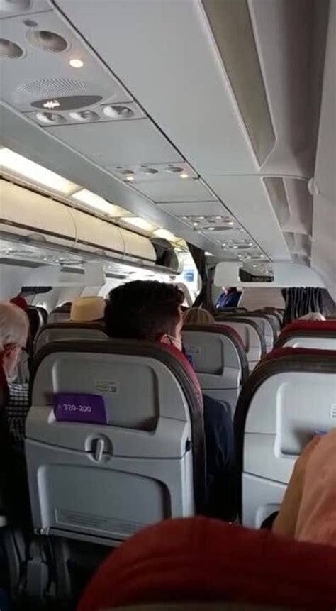 Avião da Latam bate em pássaro e aborta decolagem no Aeroporto de