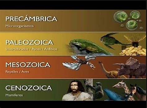 Eras geológicas timeline Timetoast timelines