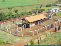 9 Ideias De Modelo De Curral Modelo De Curral Projetos Para Fazenda