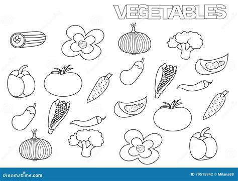 Vegetais Tirados Mão Ajustados Molde Da Página Do Livro Para Colorir