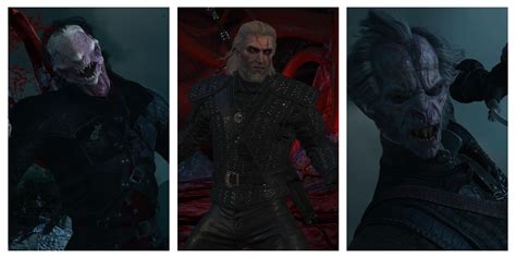 The Witcher 3 Quest Guide Beyond Hill And Dale