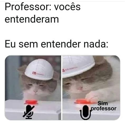 Professor vocês entenderam Eu sem entender nada Sim professor Memes