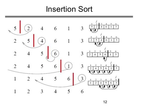 insertion sort bubble sort selection sort