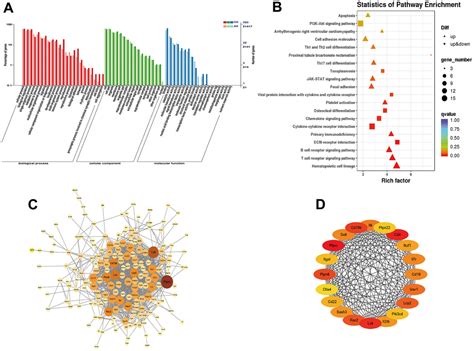 Whole Transcriptome Sequencing Analysis Reveal Mechanisms Of Yiqi