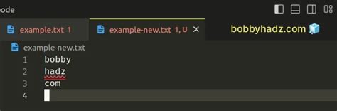 How To Copy Files And Rename Them In Python 4 Ways Bobbyhadz
