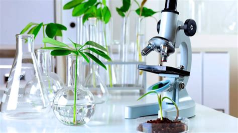 Las Ciencias Auxiliares De La Biolog A Principales Y Secundarias