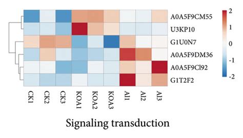 Hierarchical Clustering Analysis Of The Differentially Accumulated