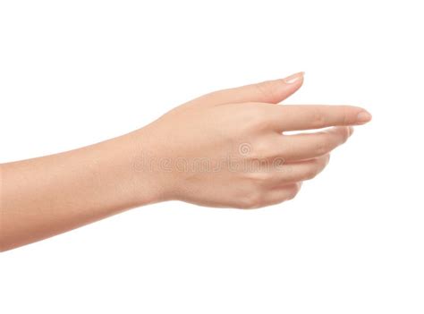 Elegant Woman Hand Stock Photo Image Of Hand Manicure 2550348