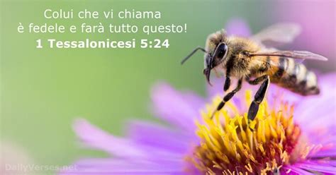 16 Aprile 2019 Versetto Della Bibbia Del Giorno 1 Tessalonicesi 5
