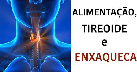 Tireoide e Alimentação O Que Não Comer Dr Alexandre Feldman