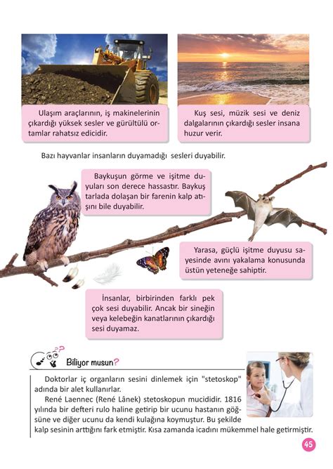 3 Sınıf Fen Bilimleri Meb Yayınları Sayfa 45 Cevapları