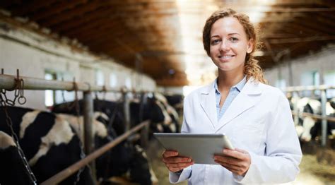 Quanto ganha um médico veterinário Descubra aqui