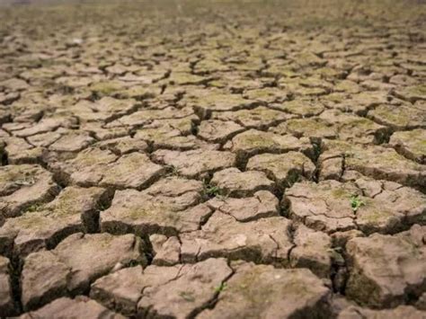 Declaratoria de emergencia por sequía extrema MEGANOTICIAS