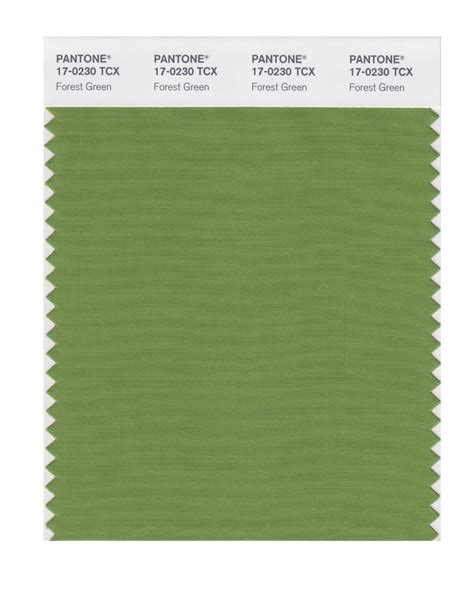 BUY Pantone Cotton Swatch 17 0230 Forest Green
