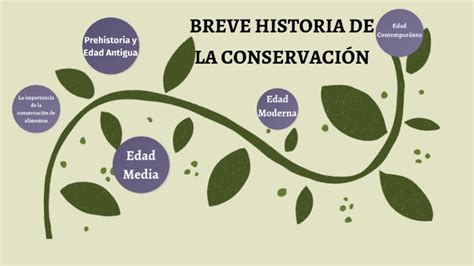 Historia De La Conservaci N De Alimentos By Nancy G Mez On Prezi