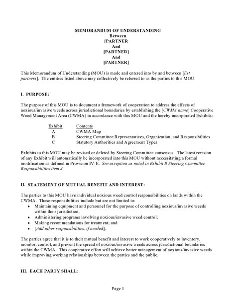 Memorandum Of Agreement Between Two Companies Sfiveband