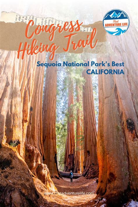 Congress Trail One Of The Best Hikes In Sequoia National Park Artofit