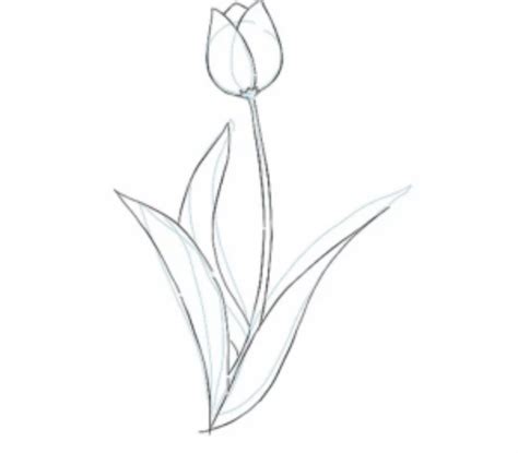 Chia S H N V H Nh V Hoa P N Gi N Cdgdbentre Edu Vn