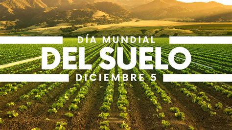 05 de diciembre Día Mundial del Suelo Revista Marketing