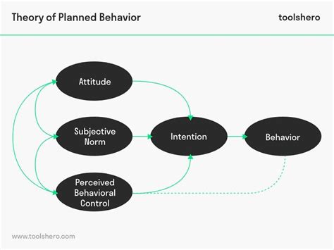theory of planned behavior model explained toolshero