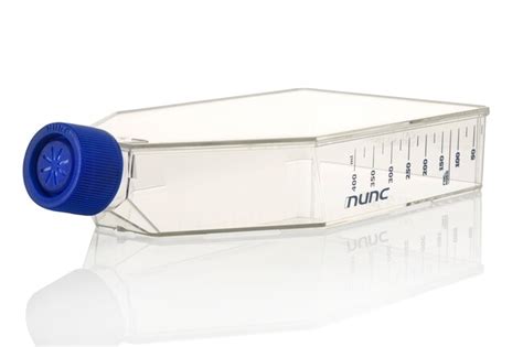 Nunc Cell Culture Treated Flask With Filter Cap