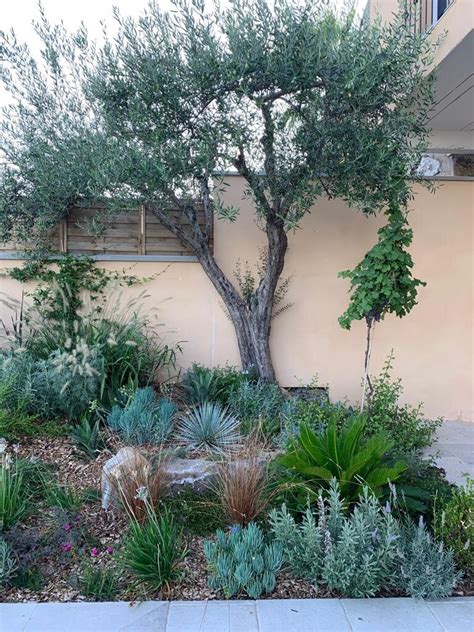 Mediterranean Landscape Garden Design Languedoc Provence English