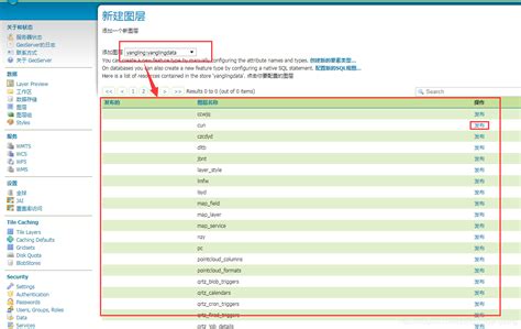 geoserver二：发布服务（postgis数据库） geoserver切片服务预览看不到数据 csdn博客