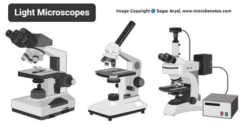 Light Microscope Definition Principle Types Parts Labeled Diagram