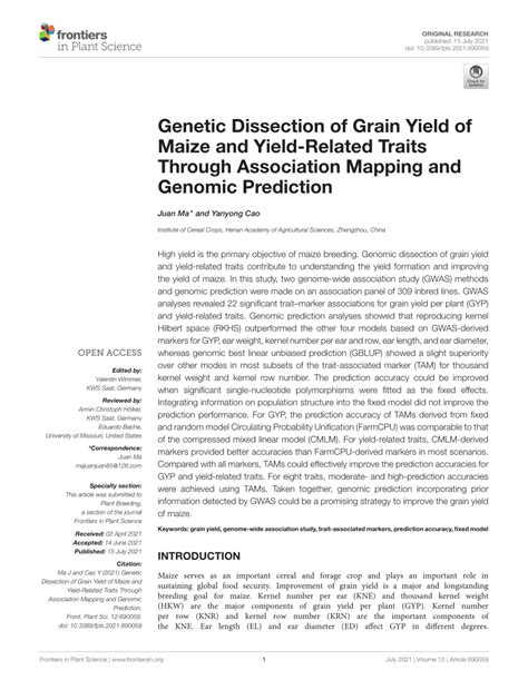 pdf genetic dissection of grain yield of maize and yield related traits through association