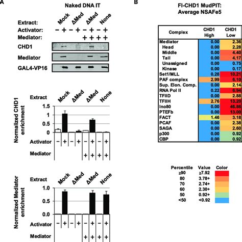 Characterization Of CHD1 Recruitment Using Purified Complexes A
