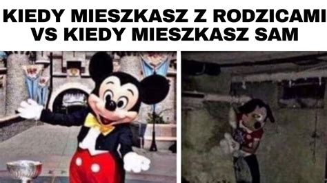 Dzienna Dawka Mem W Polskie Memy Memy Po Polsku Youtube
