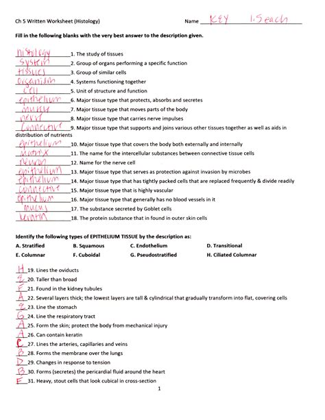 The Language Of Anatomy Worksheet Answer Key Anatomy Worksheets