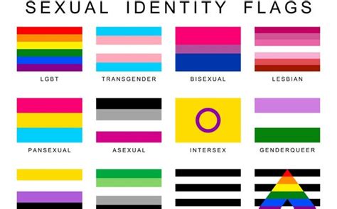 Comunidad LGBTTTIQ Qué significa cada bandera Telediario México