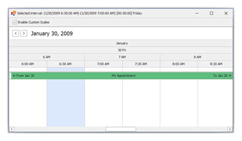 github devexpress examples winforms scheduler custom scales in timeline view display custom