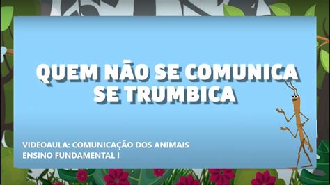 QUEM NAO SE COMUNICA SE TRUMBICA YouTube