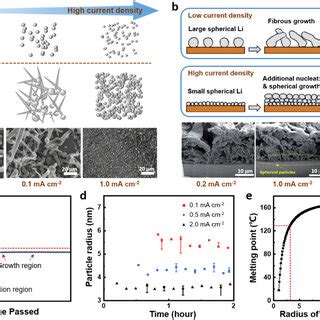 SEM Images Of Deposited Li From A Top View And B Cross Sectional