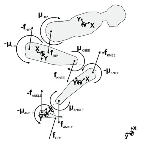 recursive newton euler inverse dynamics model of a ski jumper the download scientific diagram