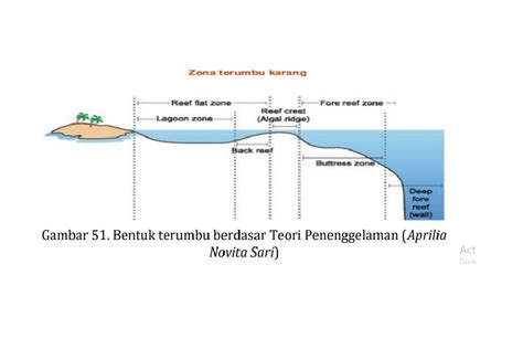 Mengenal Manfaat Bentuk Dan Jenis Terumbu Karang Nasional Katadata