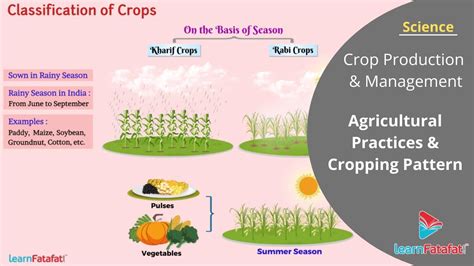 Crop Production And Management Class Science Agricultural Practices
