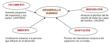 Desarrollo Humano Y Libertad DESARROLLO HUMANO