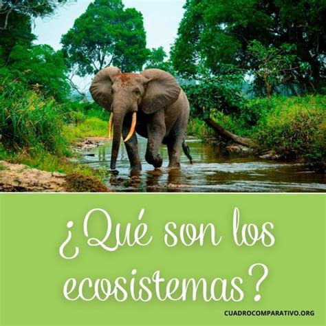Tipos De Ecosistemas Componentes Caracter Sticas Y Ejemplos Cuadro