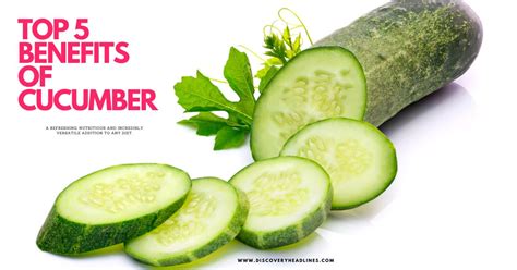 Top 5 Benefits Of Cucumber Discovery Headlines