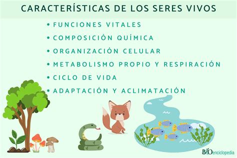 Características de los seres vivos Resumen