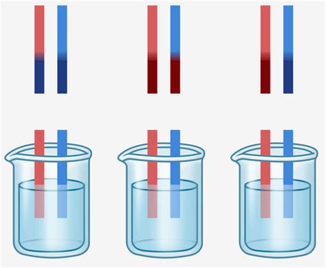 Litmus Paper And The Litmus Test 54 OFF