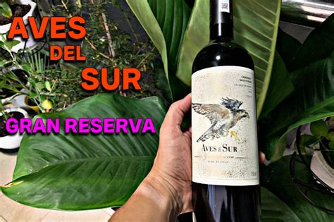 Rượu vang Gran Reserva Aves del Sur Cabernet Sauvignon Vương Quốc