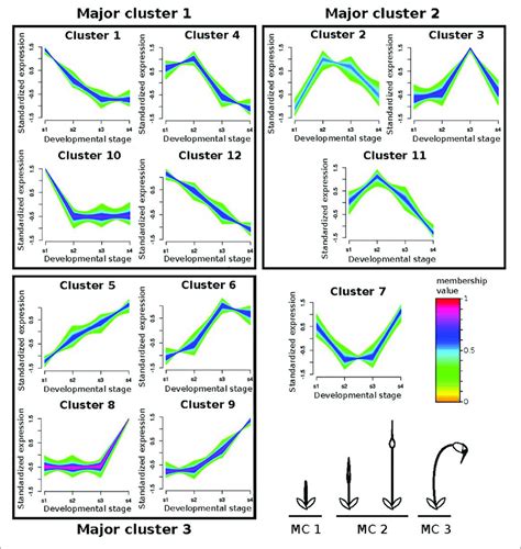fuzzy clustering of gene expression data from 4 stages of sporophyte download scientific