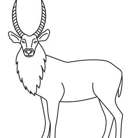 Coloriage antilope 11 un dessin à imprimer de Tête à modeler